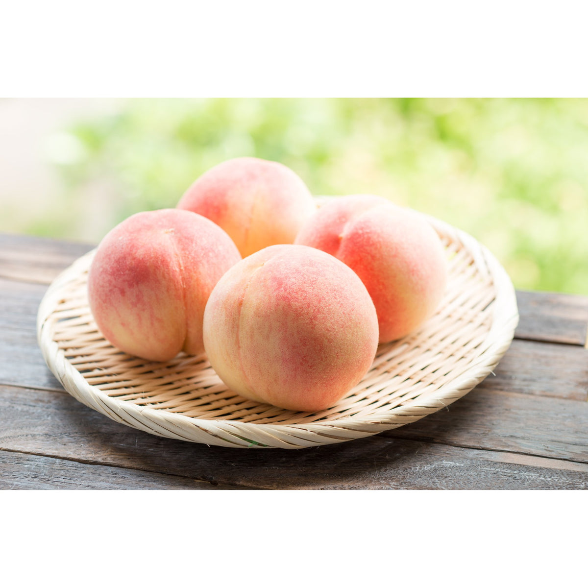 クラシエ ナイブ ピーチ ボディソープ ウォッシュ 530ml – Japanese Taste JP